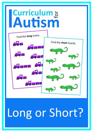 Big or Small Picture Cards Special Education Self Contained Class ...
