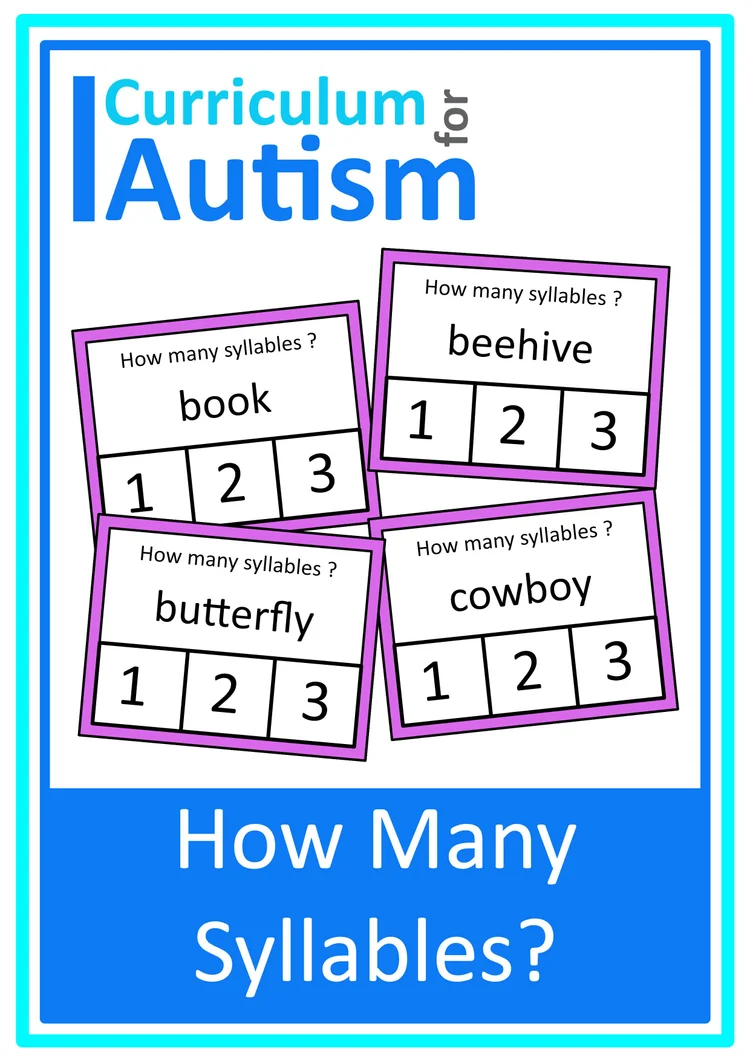 Spelling CVCe Words Phonics Activity Autism Special Education ...