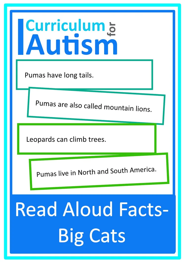 Sentence Building Mats Autism Special Education Resource Classroom ...