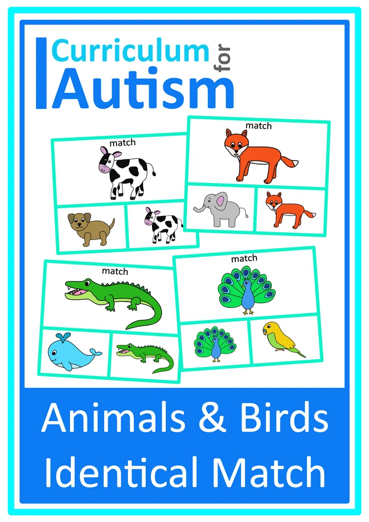 Autism Speech Therapy resources for special education self contained ...
