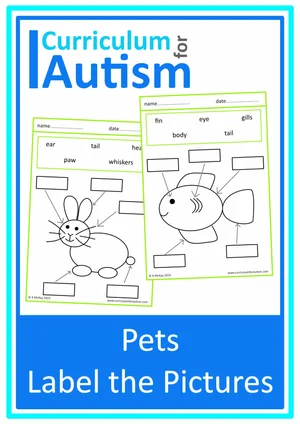 Nouns Label Pictures Vocabulary Match Activity Autism Special Education ...