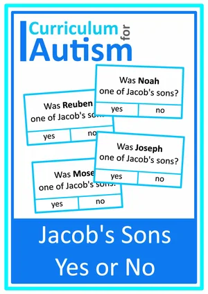 Bible History Facts Yes or No Quiz Cards Autism Special Needs Children ...