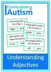Using Homophones in Sentences Cards Autism Special Education Reading ...