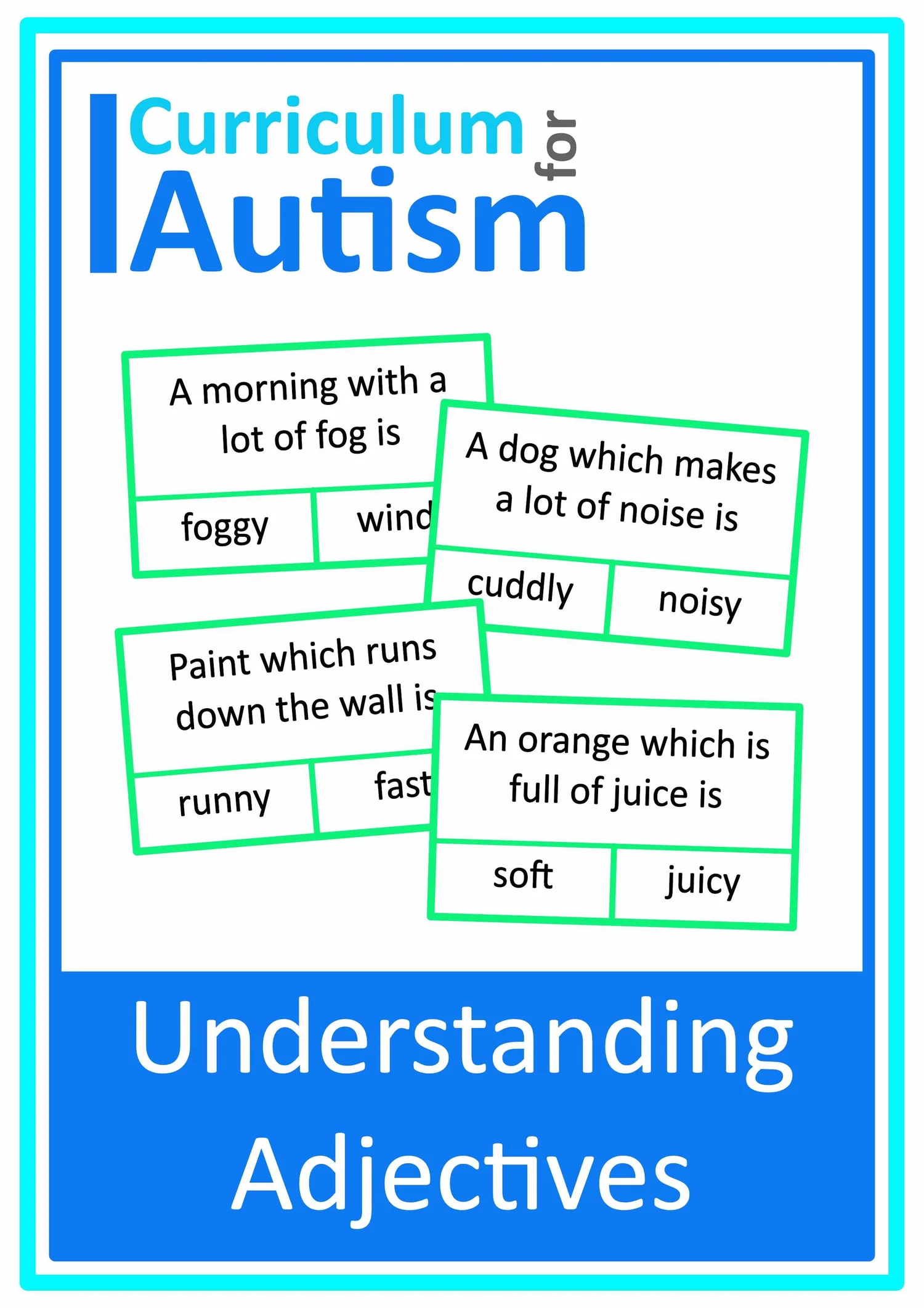 Using Homophones in Sentences Cards Autism Special Education Reading ...
