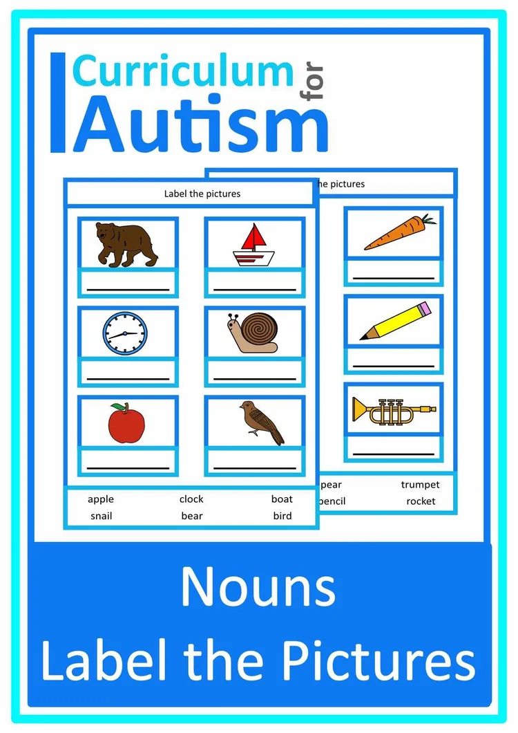 Autism Emotions & Feelings Vocabulary Lessons Worksheets Task Cards ABA ...