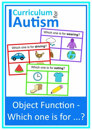 Autism Vocabulary Nouns Yes or No Picture Task Cards Special Education ...