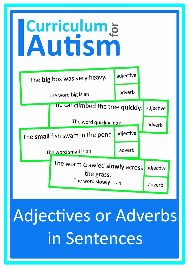 Noun or Verb Large Print Cards Autism Special Education Classroom ...