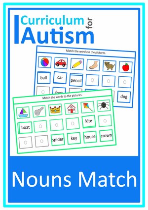 Using Homophones in Sentences Cards Autism Special Education Reading ...