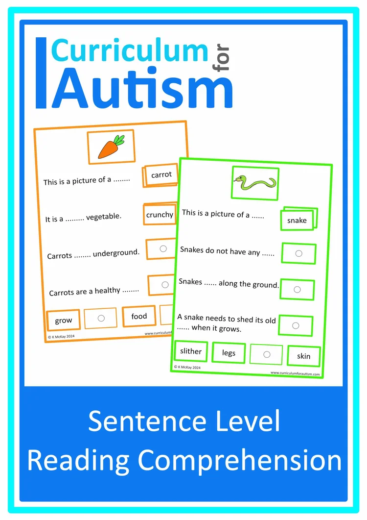 Sentence Level Reading Comprehension Asking or Telling Clip Cards ...
