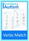 Picture Matching Nouns Activity Autism Special Education — Curriculum ...