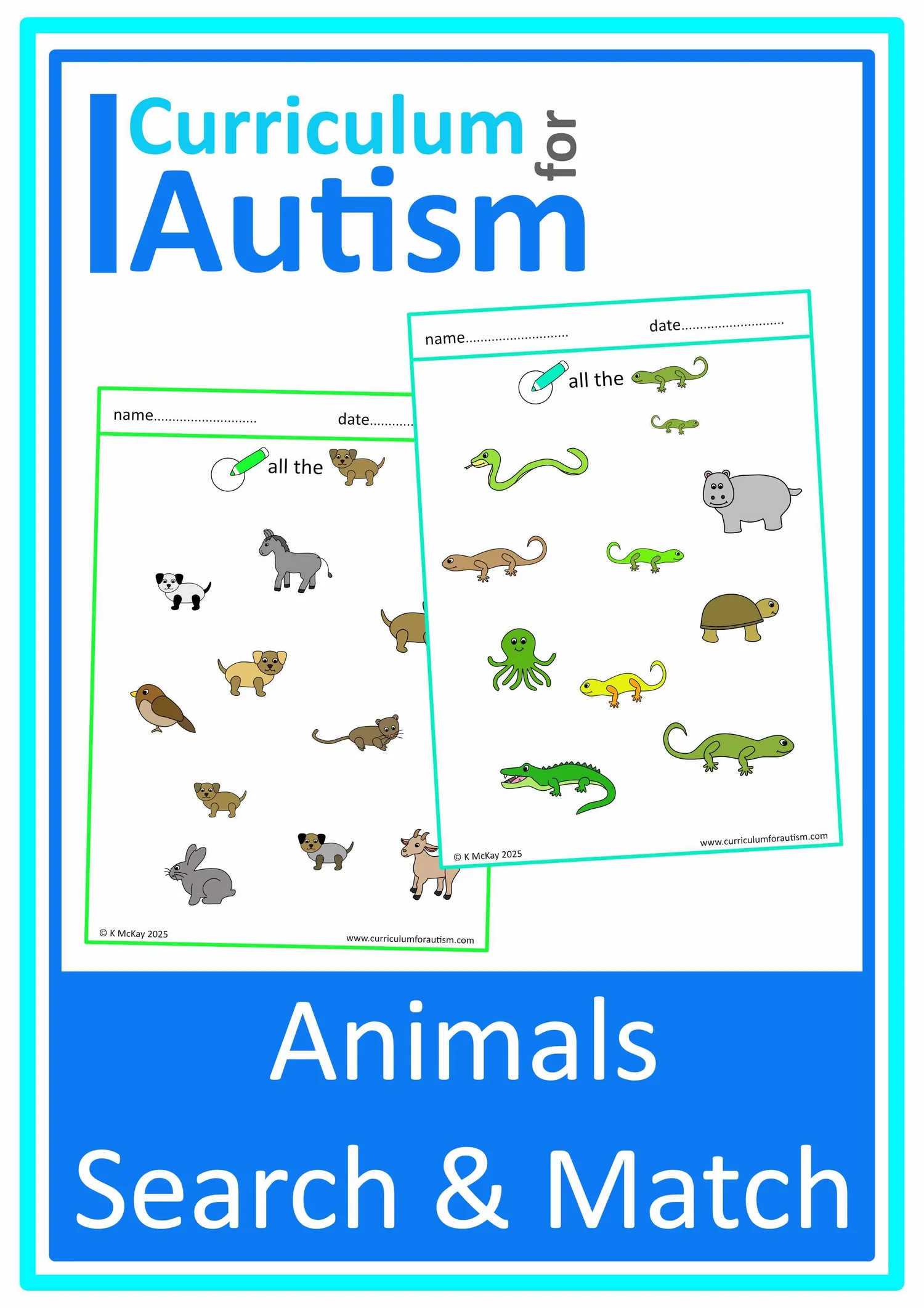Non Identical Picture Matching Clip Cards Autism Special Education ...