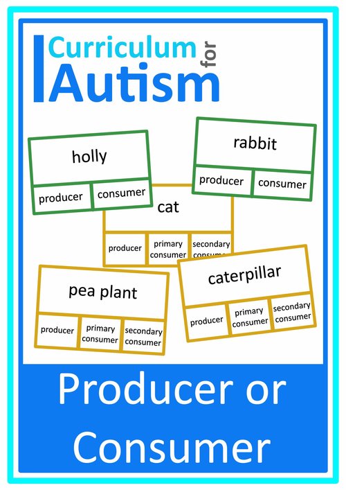 Animal Foods Producer Consumer Food Chains Cards Autism Special ...