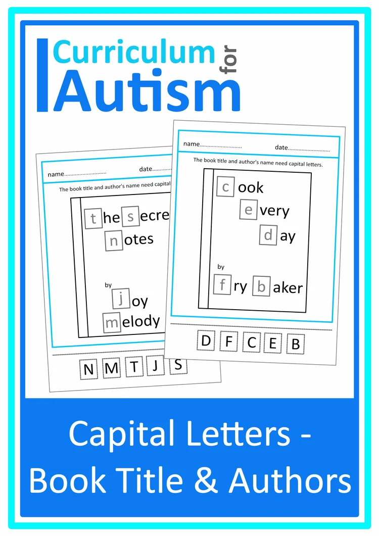 Using Homophones in Sentences Cards Autism Special Education Reading ...