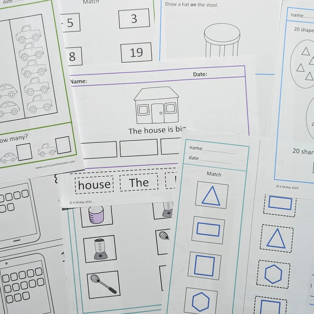 Curriculum For Autism