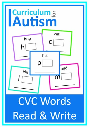 Reading & Writing Sight Words Cards Autism Special Education Resource ...
