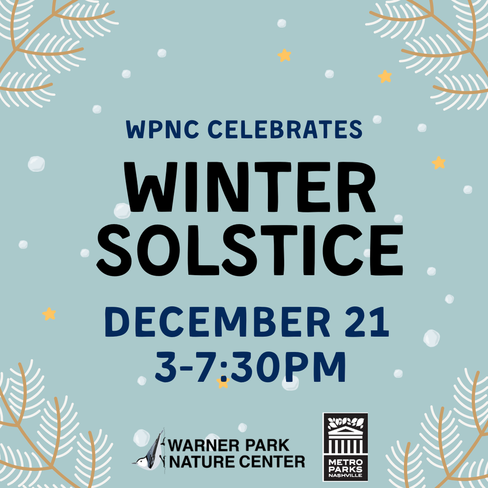 Winter Solstice Celebration | KIDSVILLE