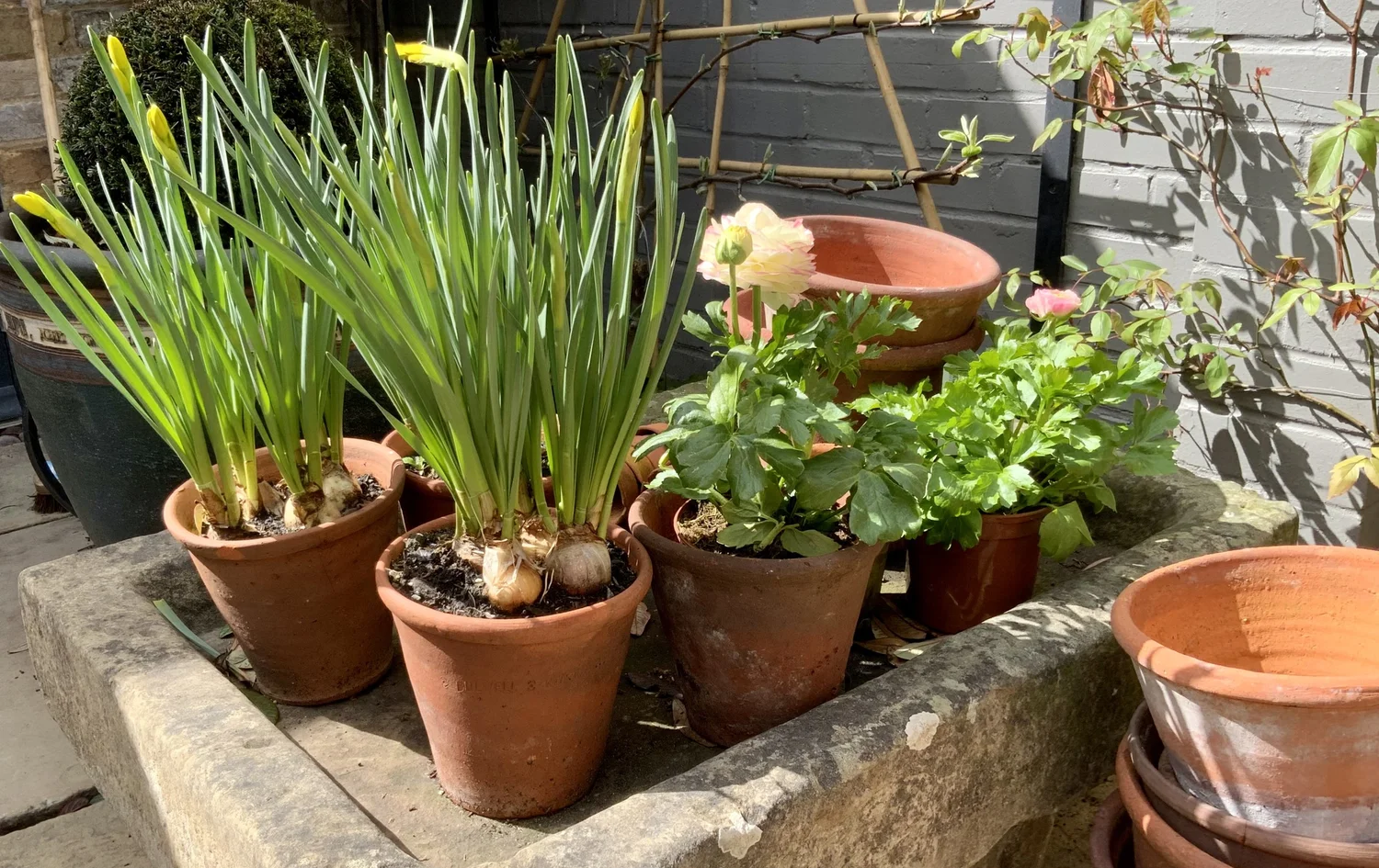 Shop — Lynne Strover Silver