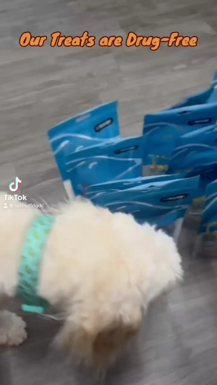 Ruff Ruff Dog Grooming & Daycare