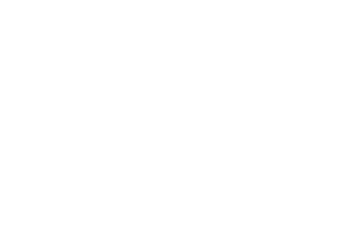 Big Rig Repair