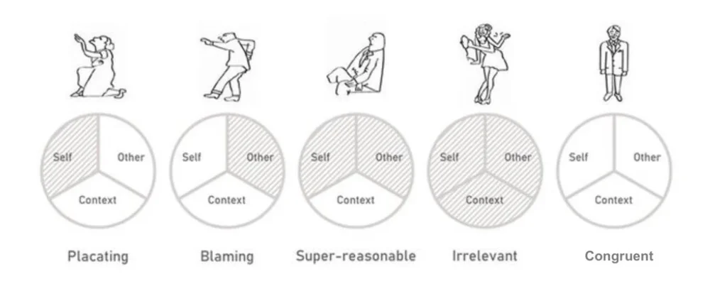 Satir Coping Stances — REAL