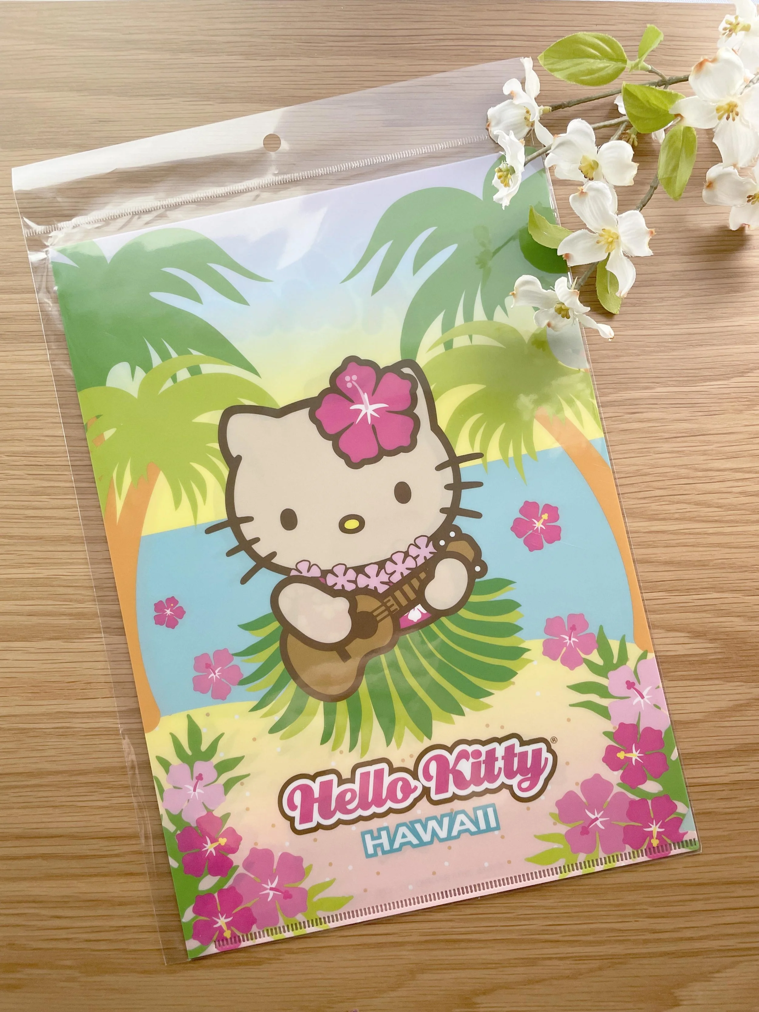 A4 - File Folder - Hello Kitty - 40th Anniversary Collection — La ...