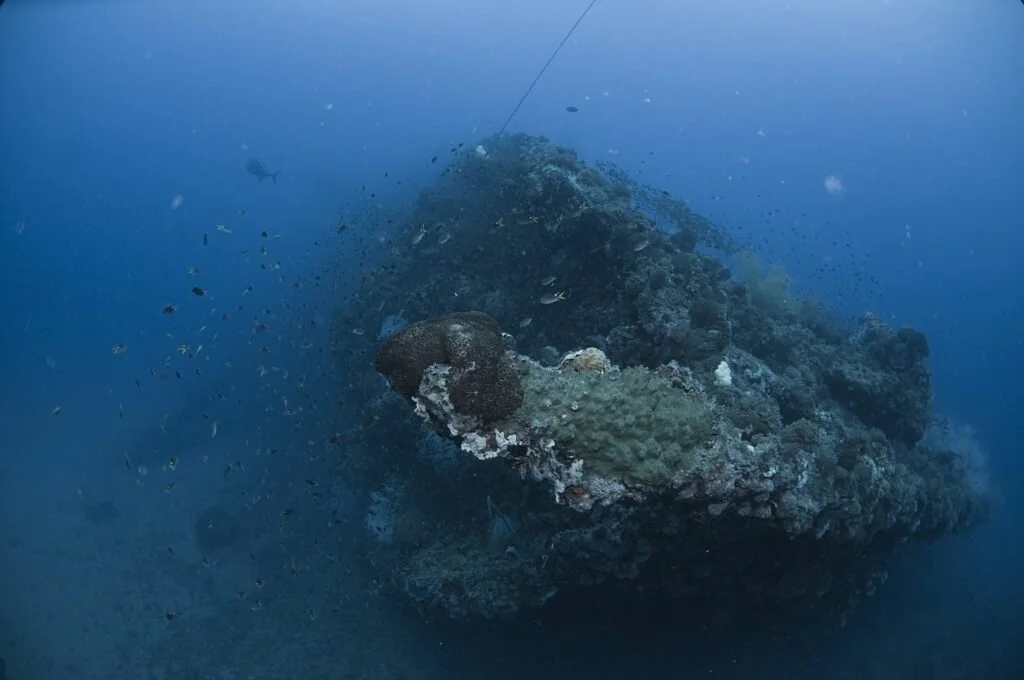 Yongala Dive