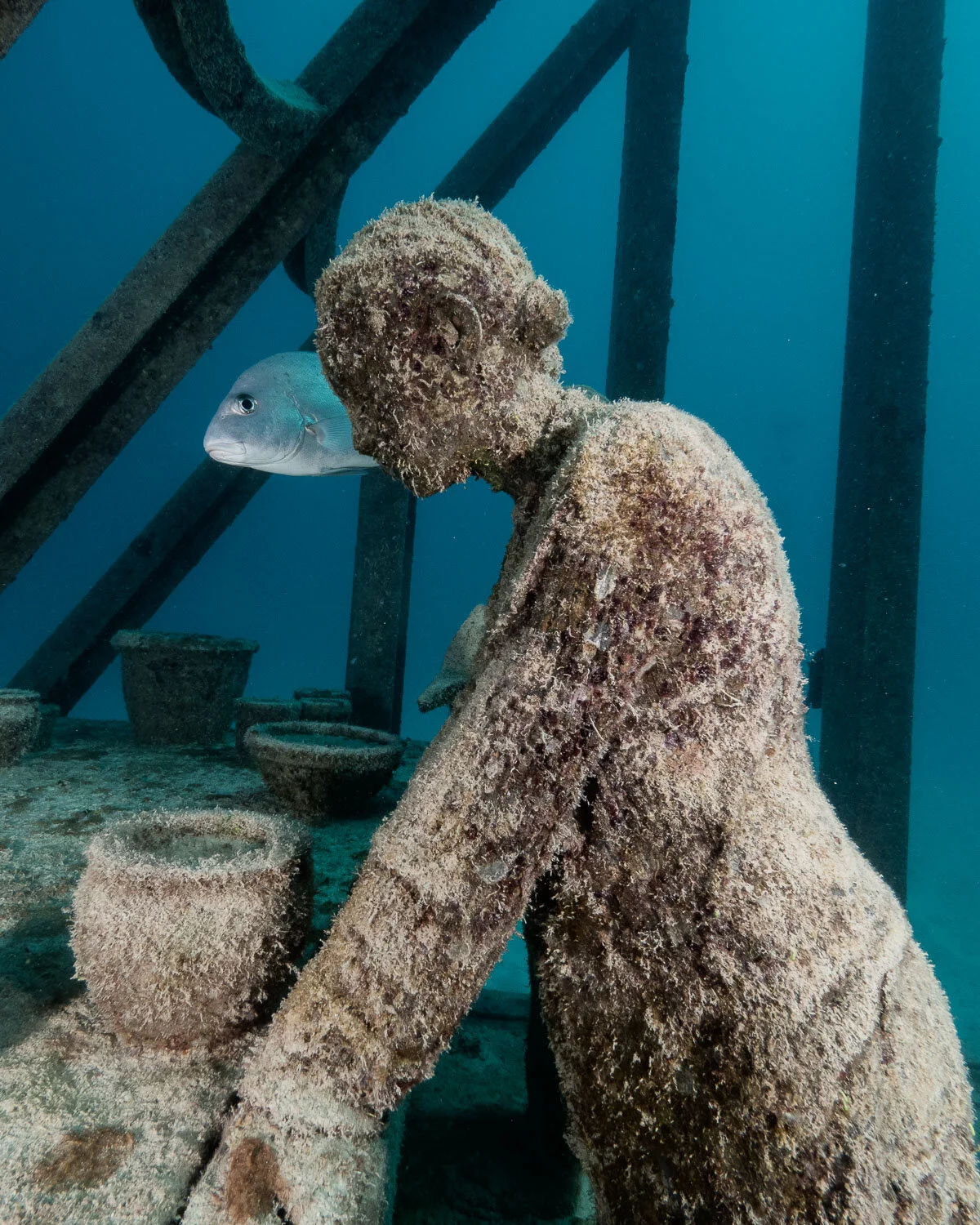 Underwater Art Museum Townsville at Nick Mendoza blog