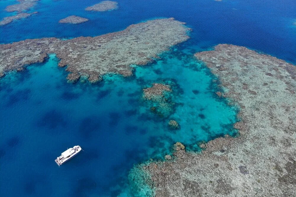Yongala Dive