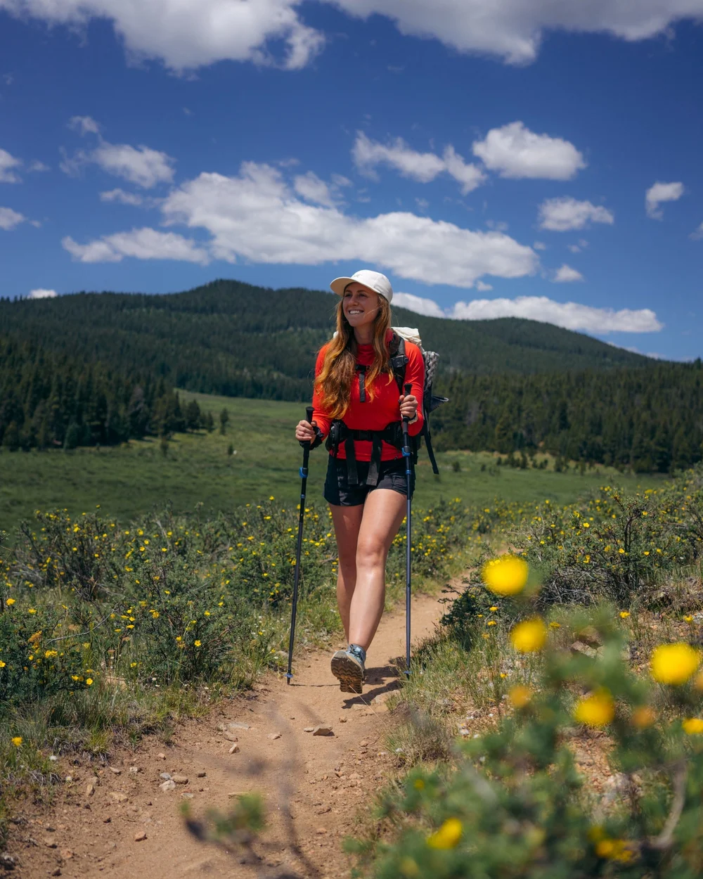 The Complete Guide to the 7 Best Section Hikes on the Colorado Trail ...