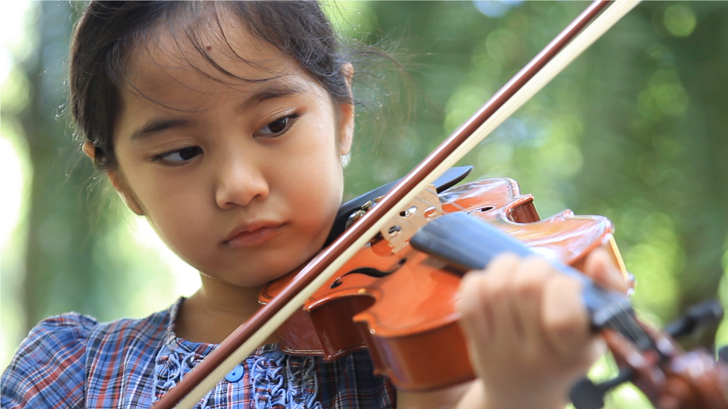 The Ultimate Violin Course - Learn to Play the Violin Today!