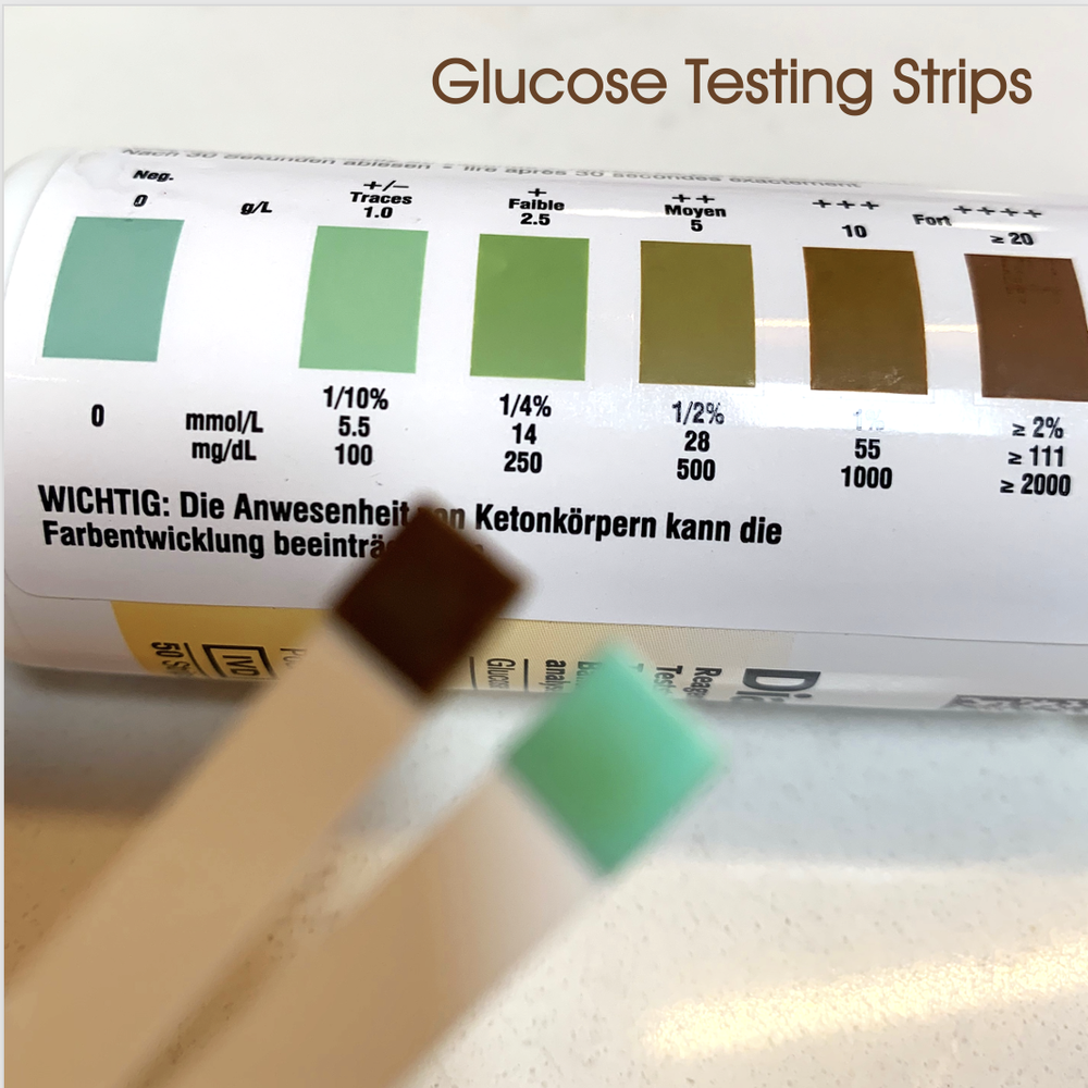 Make your own lactose-free milk — Noisy Guts