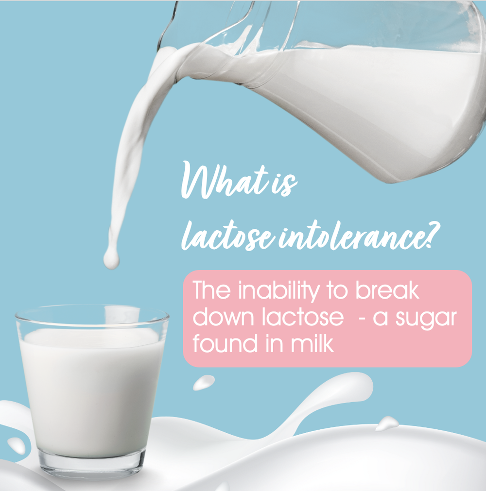Make your own lactose-free milk — Noisy Guts