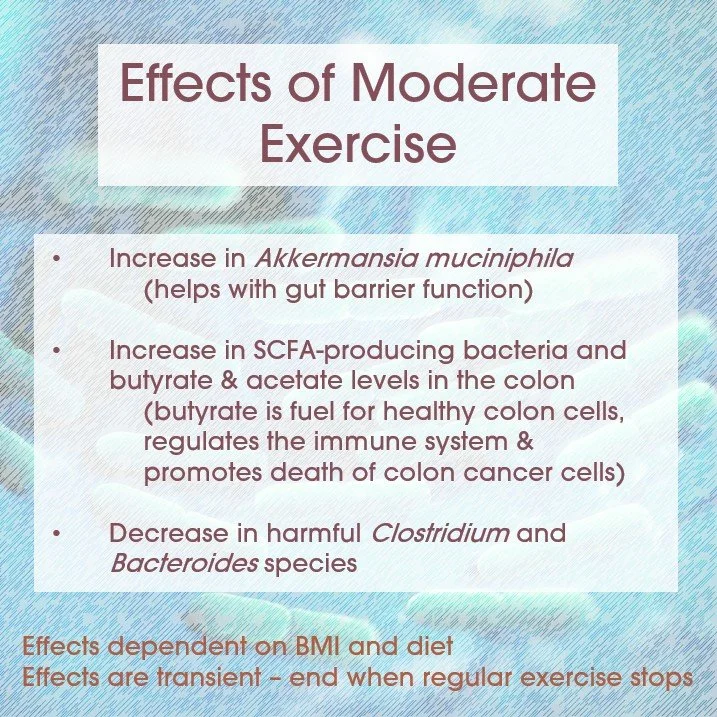exercise and the gut microbiome — Noisy Guts
