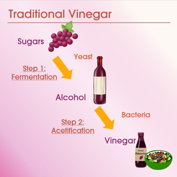 Balsamic Benefits — Noisy Guts