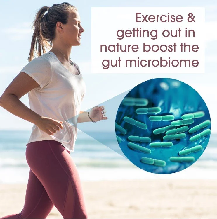 Prebiotics and Probiotics – what you need to know — Noisy Guts
