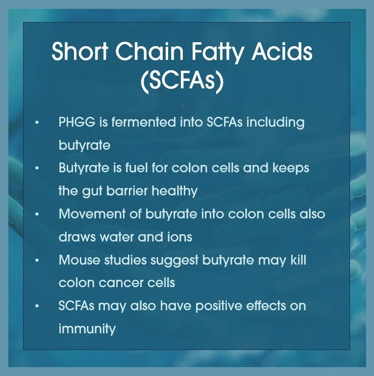 5 reasons to love PHGG — Noisy Guts