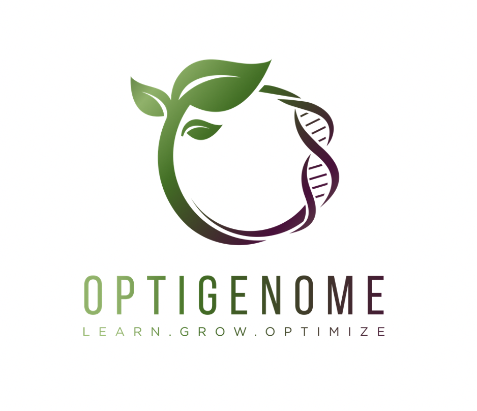 Epigenetic Hair Analysis Scan: Technology to Find Out EXACTLY what YOUR ...