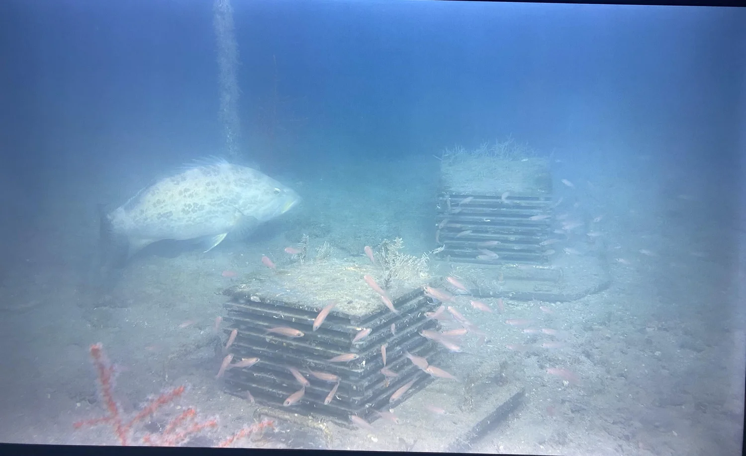 Hydrographic & Marine — Coastal Mapping & Sciences, LLC