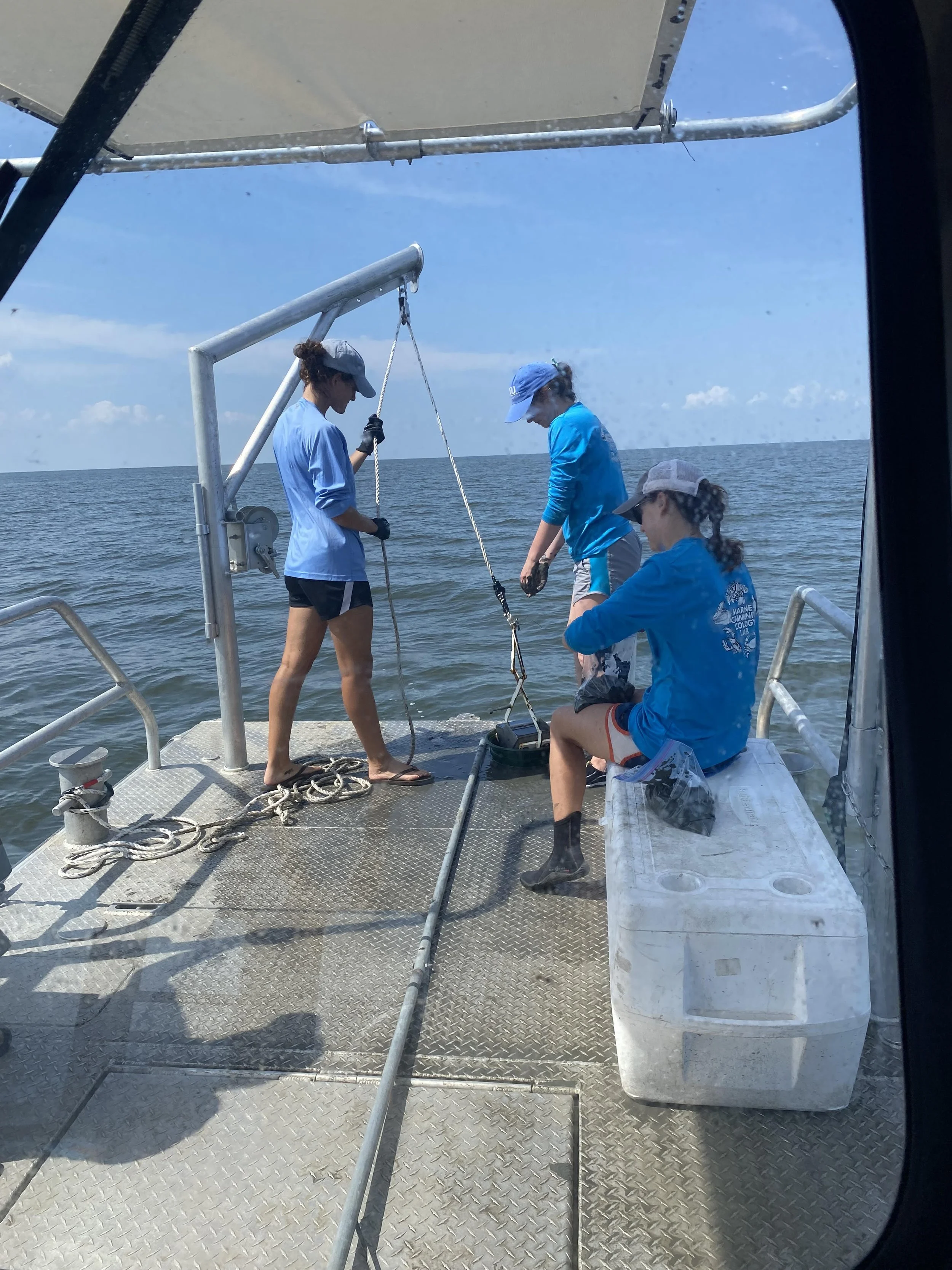 Coastal Sciences — Coastal Mapping & Sciences, LLC