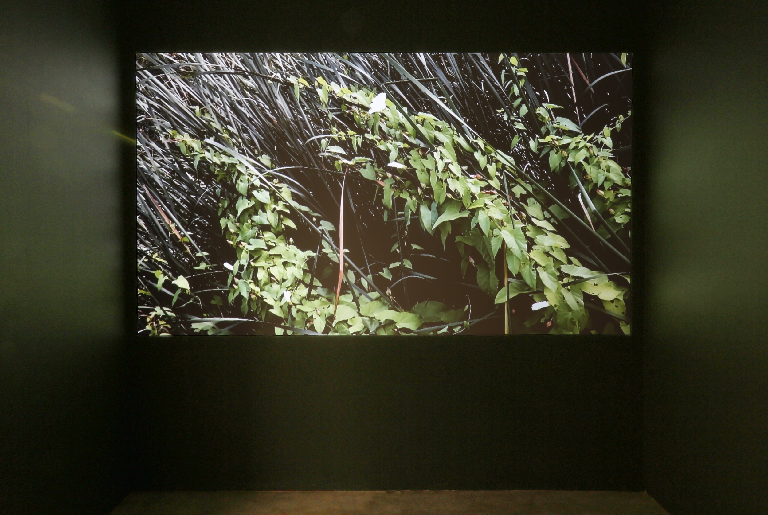 Here, Now, Studio Voltaire — JO LONGHURST