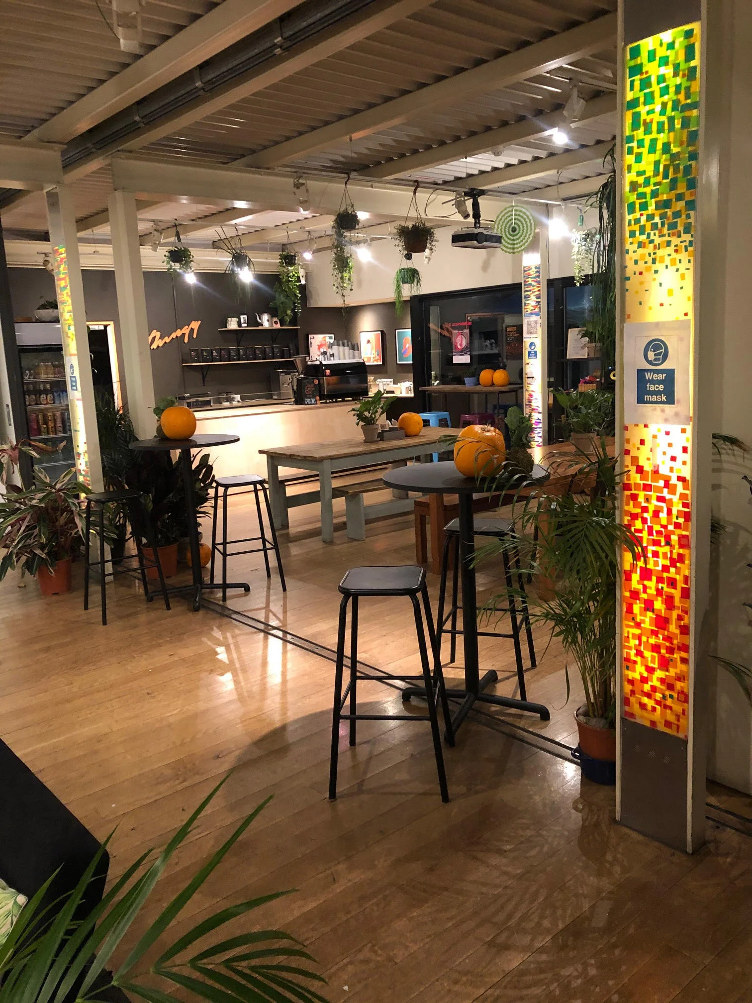 Are Dogs Allowed In Trowbridge Garden Centre