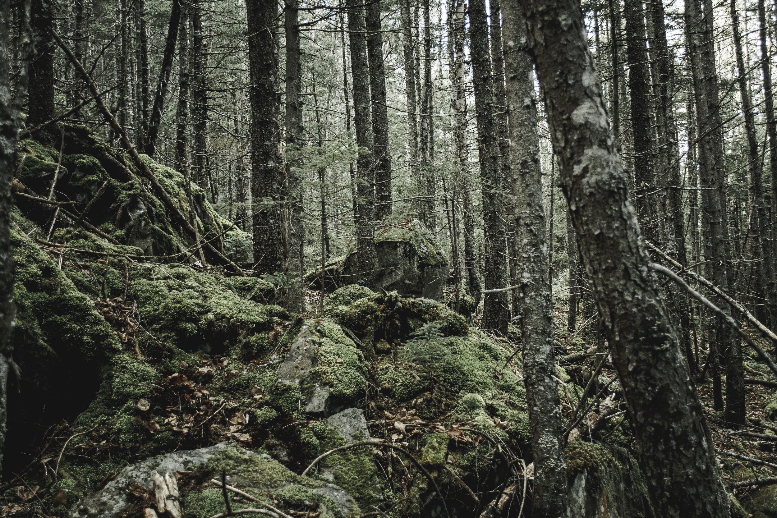 Navigating the Leadership Maze: A Guide for First-Time Managers (Part 2) — PeopleCap