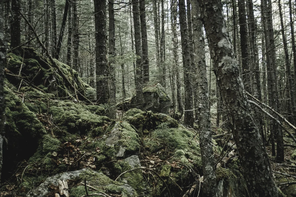 Navigating the Leadership Maze: A Guide for First-Time Managers (Part 2 ...