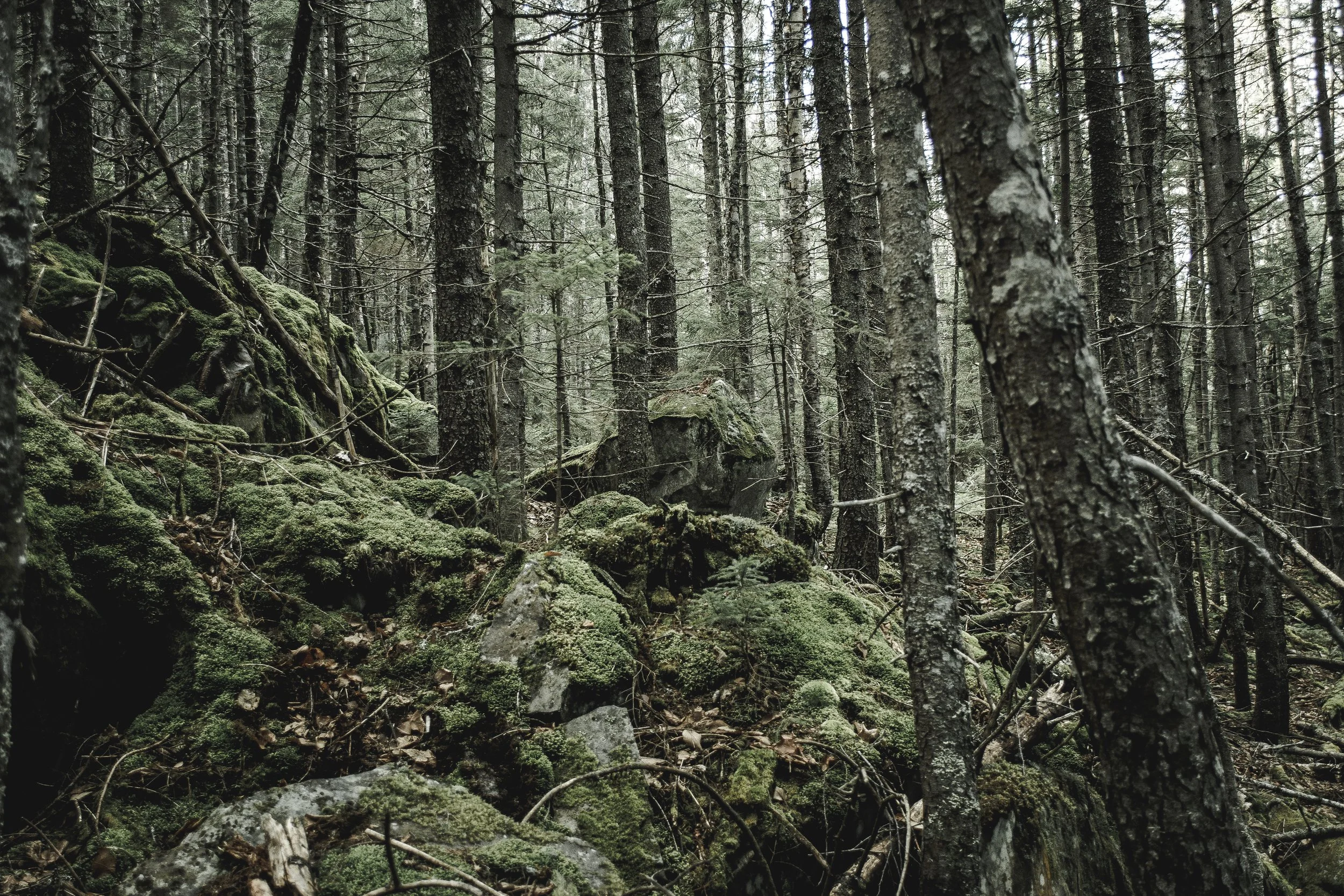 Navigating the Leadership Maze: A Guide for First-Time Managers (Part 2 ...