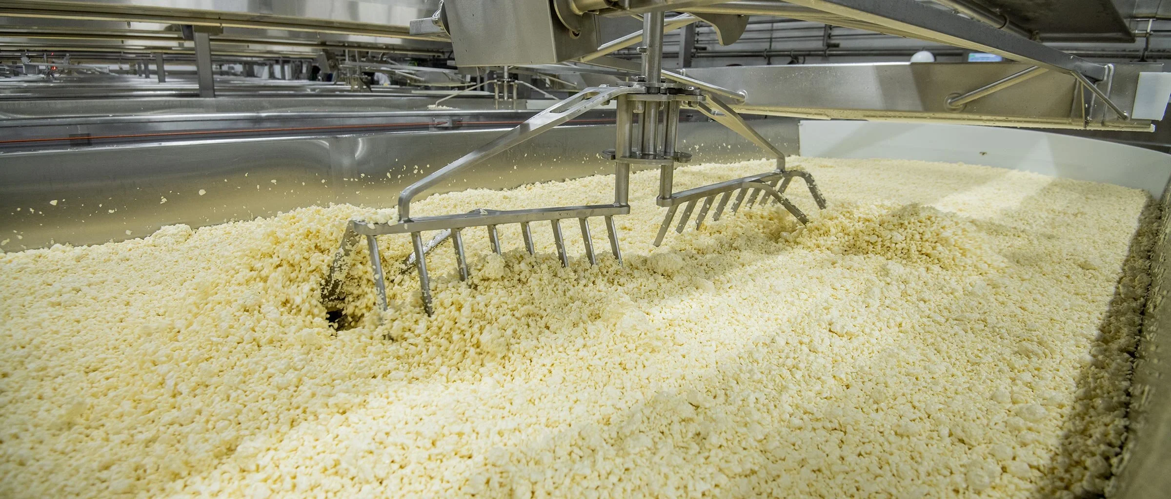 Our Products — Valley Queen Cheese