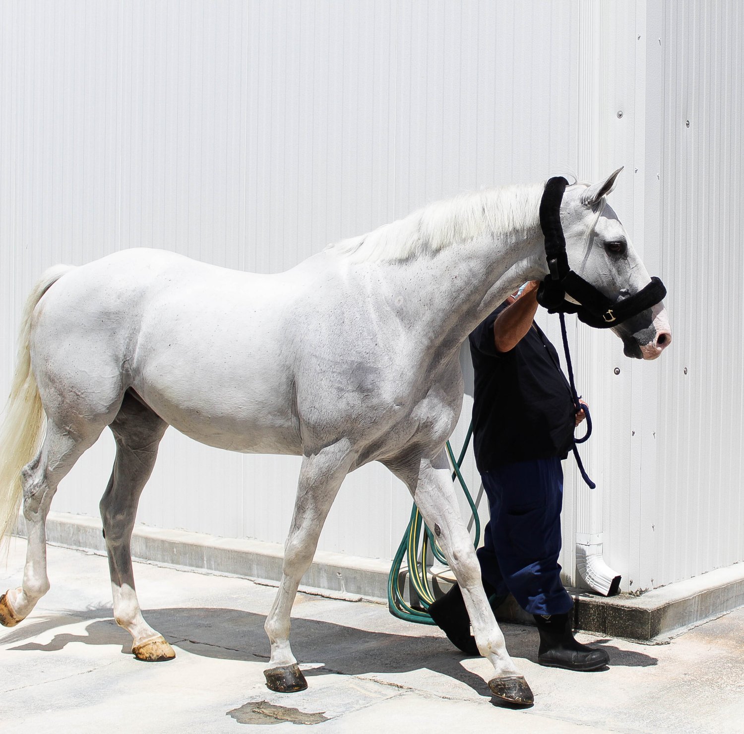 Lazcar International