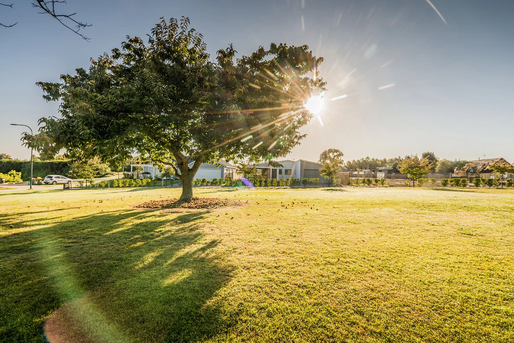 Lighthouse Capital — Lighthouse Group