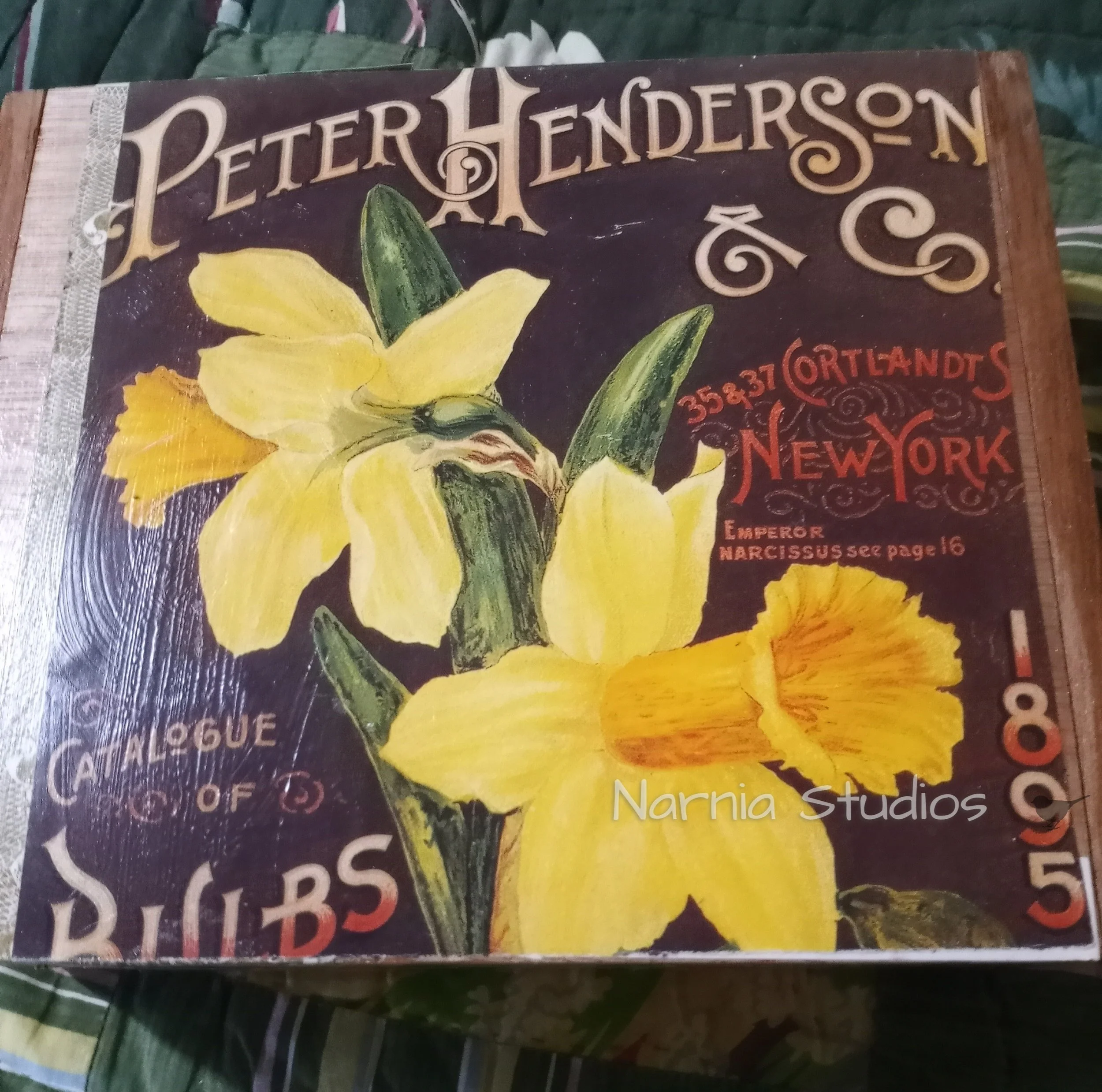 "Holly and The Tooth Fairy" Treasure Box — Narnia Studios — American ...