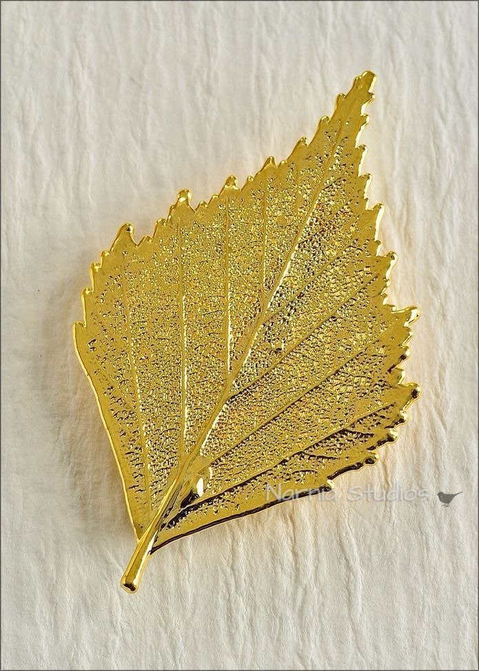 ASPEN ~ Nature Preserved Leaves — Narnia Studios — American Made ...