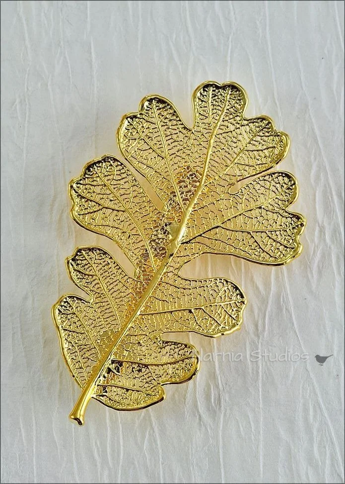 BIRCH ~ Nature Preserved Leaves — Narnia Studios — American Made ...